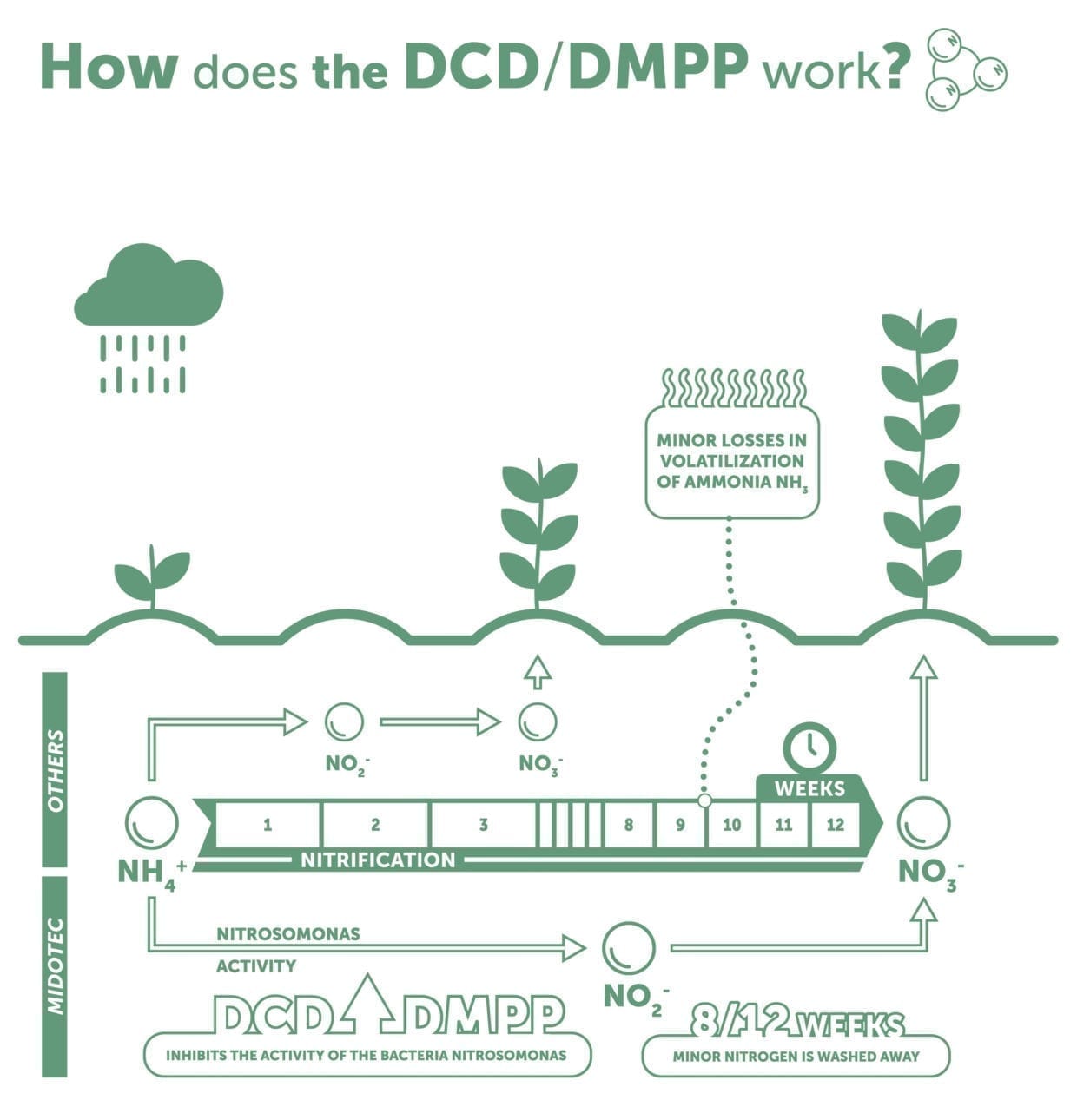 Midotec Formula | Mugavero