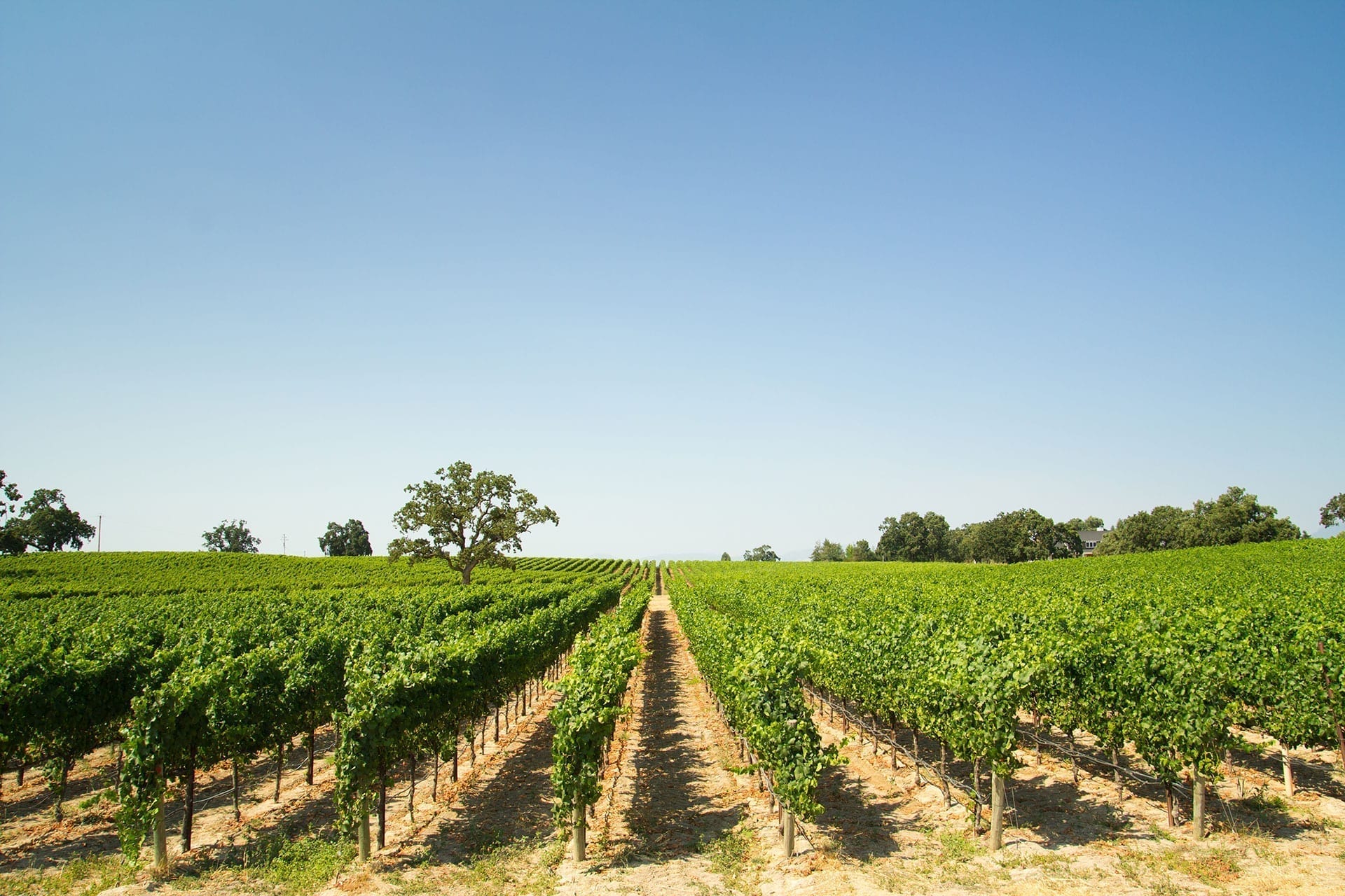 Mugavero | Fertilizzanti speciali Made in Italy