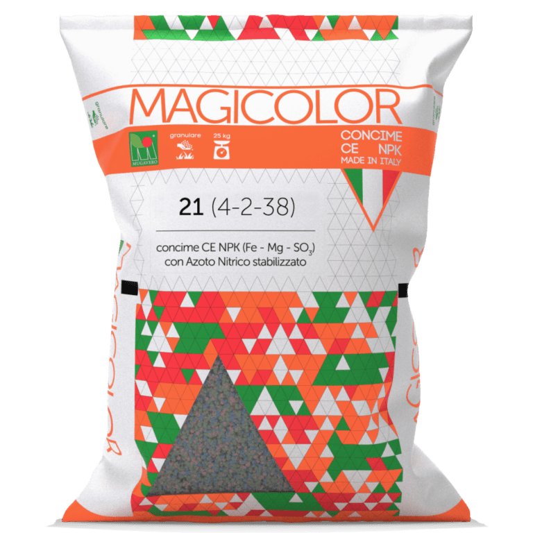 Magicolor 18.6.6 | Mugavero