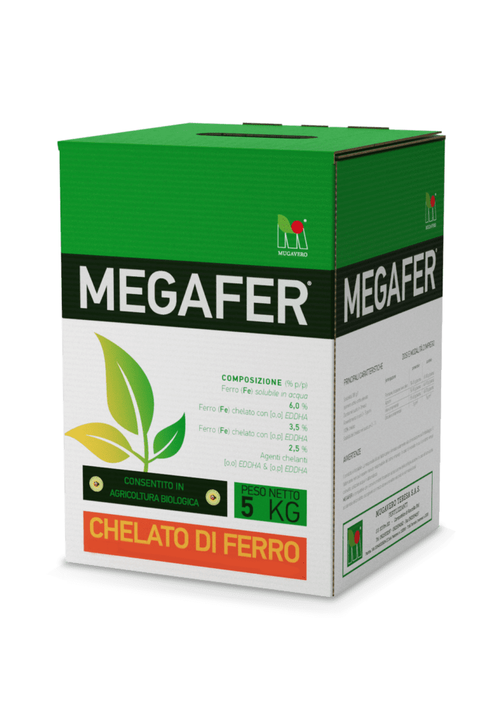 Megafer | Mugavero