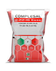 Complesal 11.22.16 Esse | Mugavero