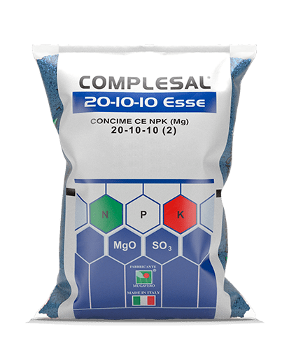 Complesal 20.10.10 Esse | Mugavero