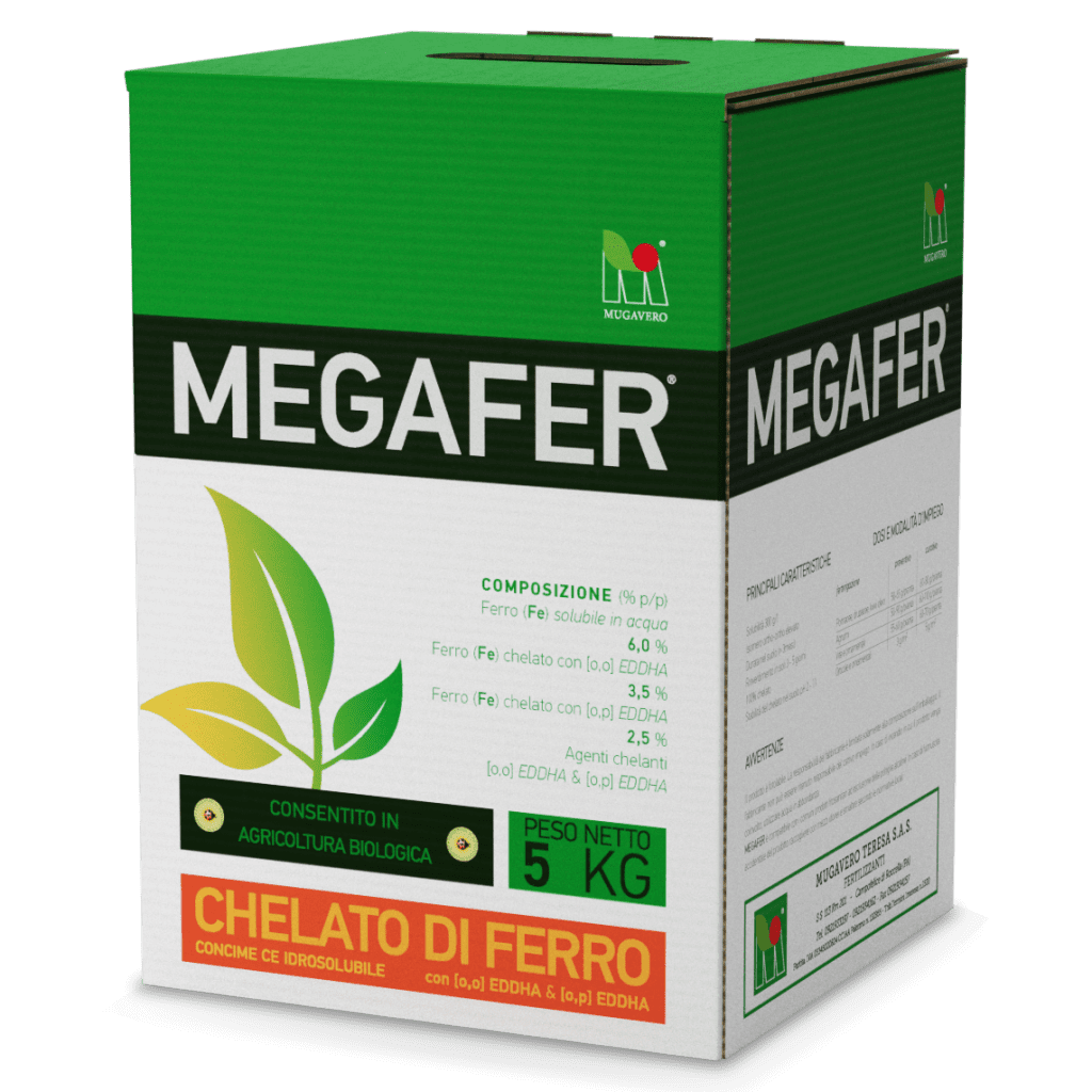 Megafer | Mugavero