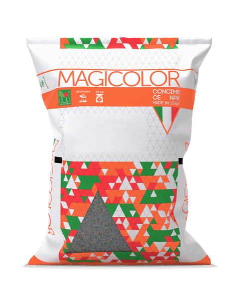 Magicolor 21 | Mugavero