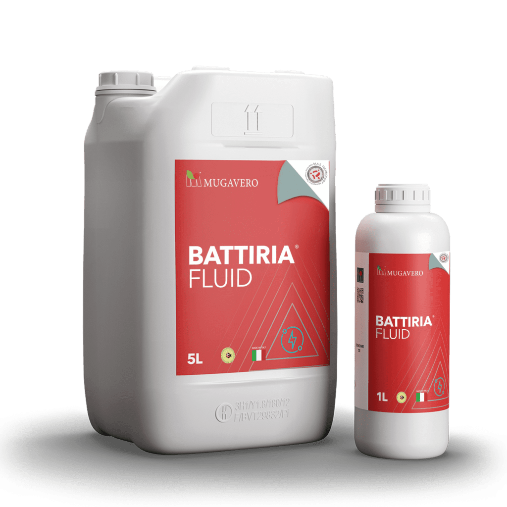 Battiria Fluid | Mugavero